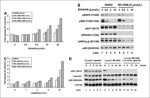 MK-2206, an Allosteric Akt Inhibitor, Enhances Antitumor Efficacy by Standard Chemotherapeutic ...