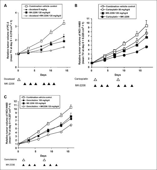 MK-2206, an Allosteric Akt Inhibitor, Enhances Antitumor Efficacy by Standard Chemotherapeutic ...
