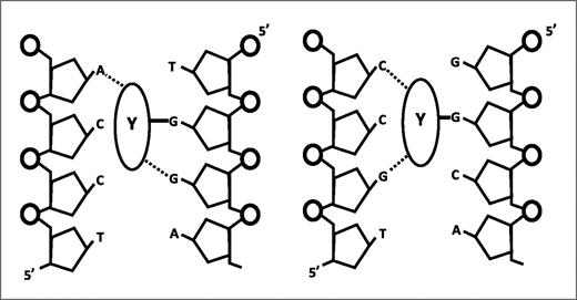 A Review of Trabectedin (ET-743): A Unique Mechanism of Action ...