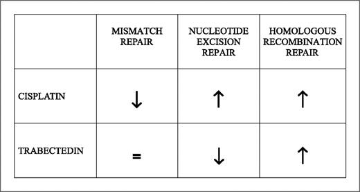 A Review of Trabectedin (ET-743): A Unique Mechanism of Action ...