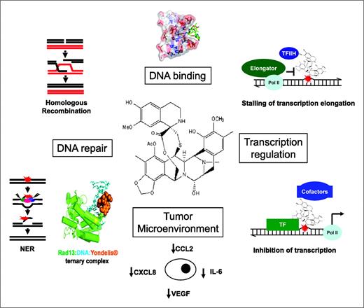 A Review of Trabectedin (ET-743): A Unique Mechanism of Action ...