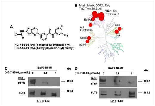 Discovery and Characterization of Novel Mutant FLT3 Kinase Inhibitors ...