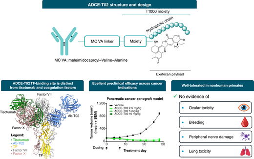ADCE-T02: A Next-generation Antibody–Drug Conjugate Targeting Tissue ...