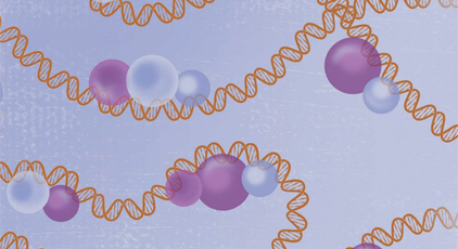 Cancer Epigenomics 2022 | Cancer Immunology Research | American ...
