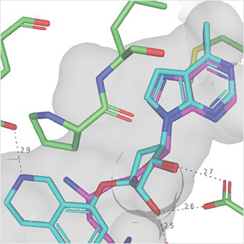 Emerging Targets and First Disclosures | American Association for ...