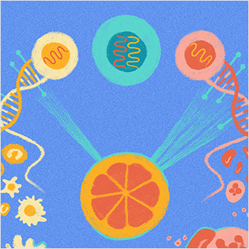 Pre-cancers and Early Detection | American Association for Cancer Research