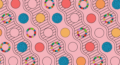 Cancer Evolution | American Association for Cancer Research